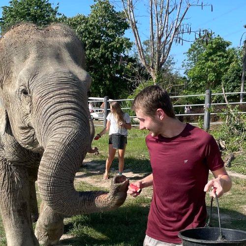 Hnd Animal Management Animal Behaviour And Welfare University