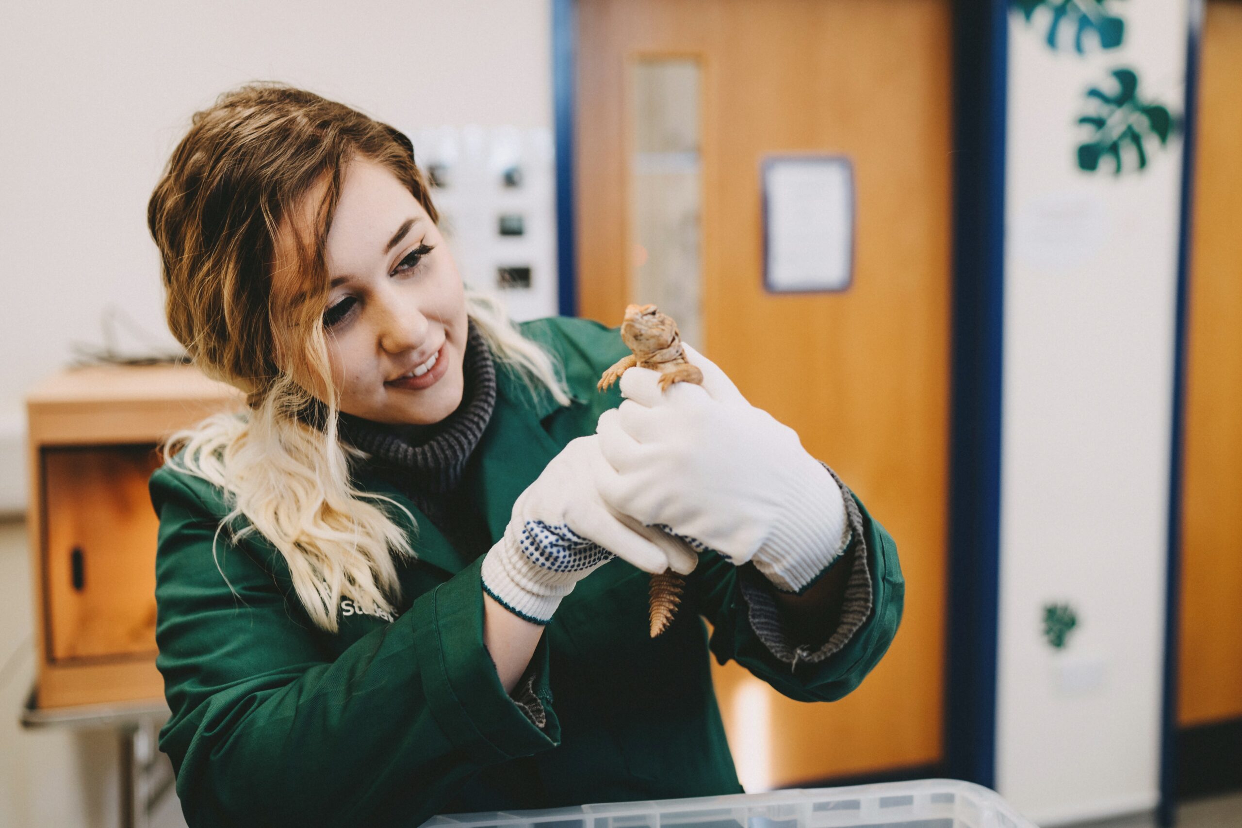 HND Animal Management (Animal Behaviour and Welfare) - University ...